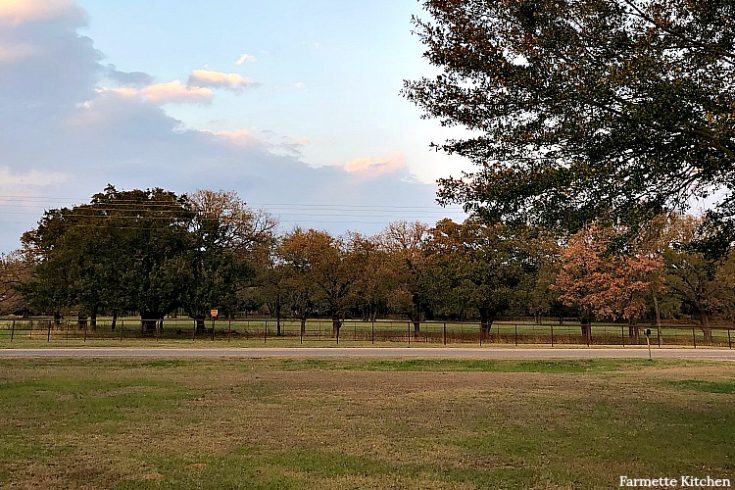 What is a Farmette? | Welcome to Farmette Kitchen